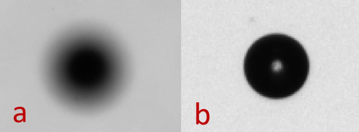 Dynamic Image Analysis: Principles, Data Quality, and Applications ...