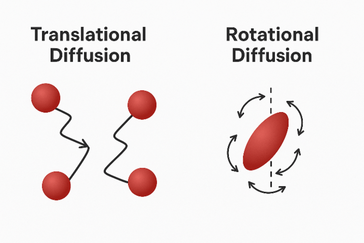 Understanding Fluorescence and Polarization Filters in Dynamic Light ...